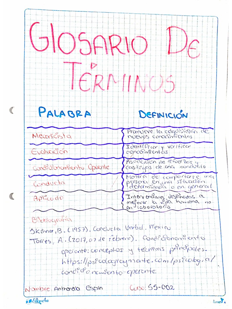 Entrevista Espin Alina | PDF