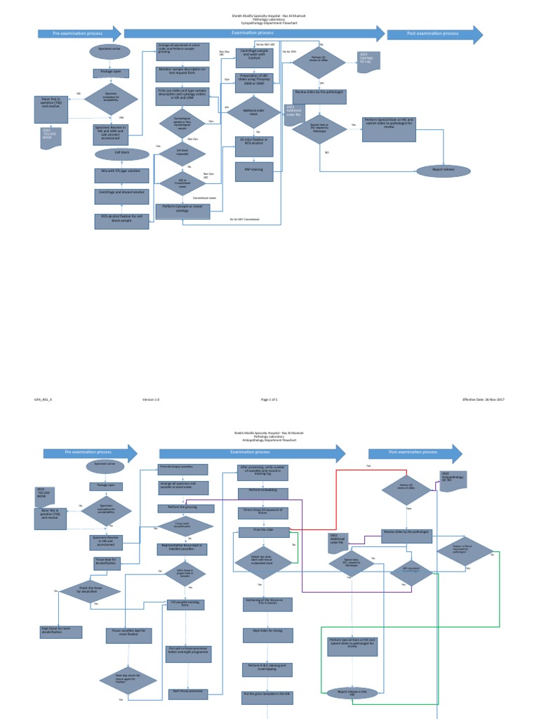 Histopathology & Cytopathology Flowchart-1 | PDF | Cytopathology | Histopathology