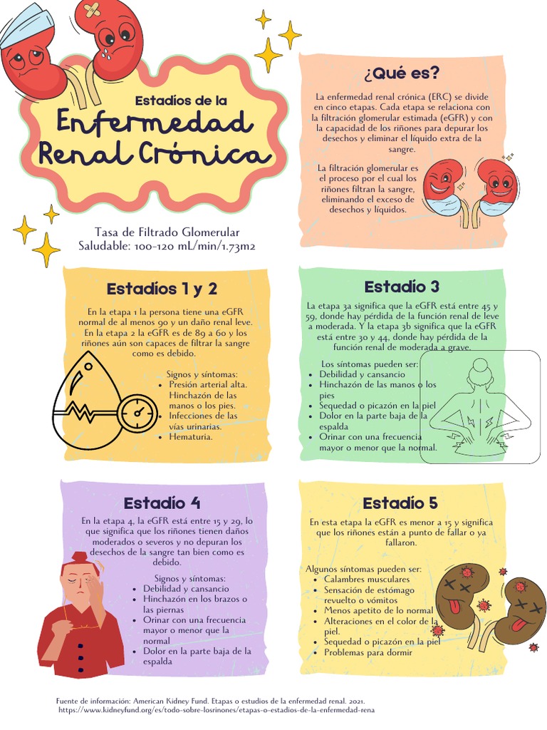 Estadios de La Enfermedad Renal Crónica | PDF | Riñón | Enfermedad renal crónica