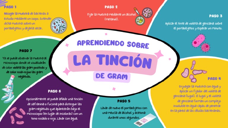 Tinción de Gram | PDF