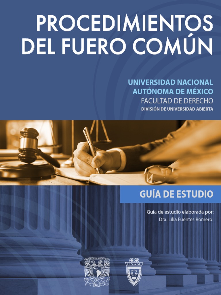 Guia Procedimientos Fuero Comun | PDF | Procedimiento Criminal | Mandato