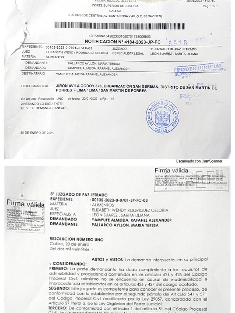 Raphael Alexander YAMPUFÉ Almeida | PDF