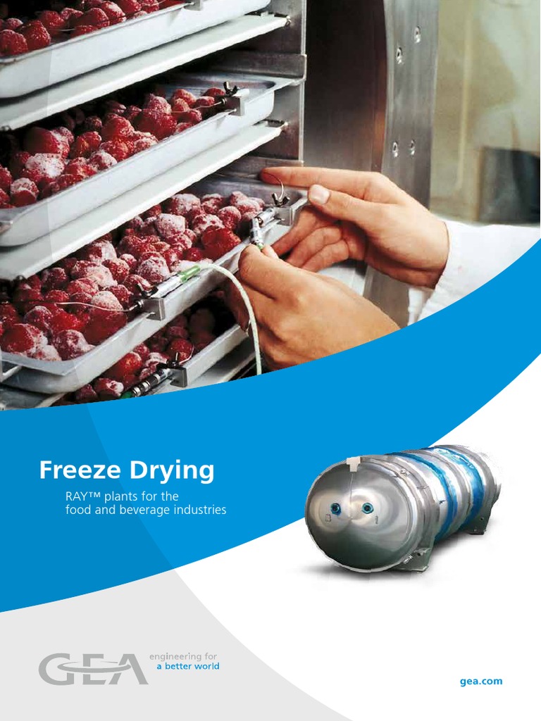 Batch Ray Freeze Drying Technology Tcm11 37505 | PDF | Freeze Drying | Ice