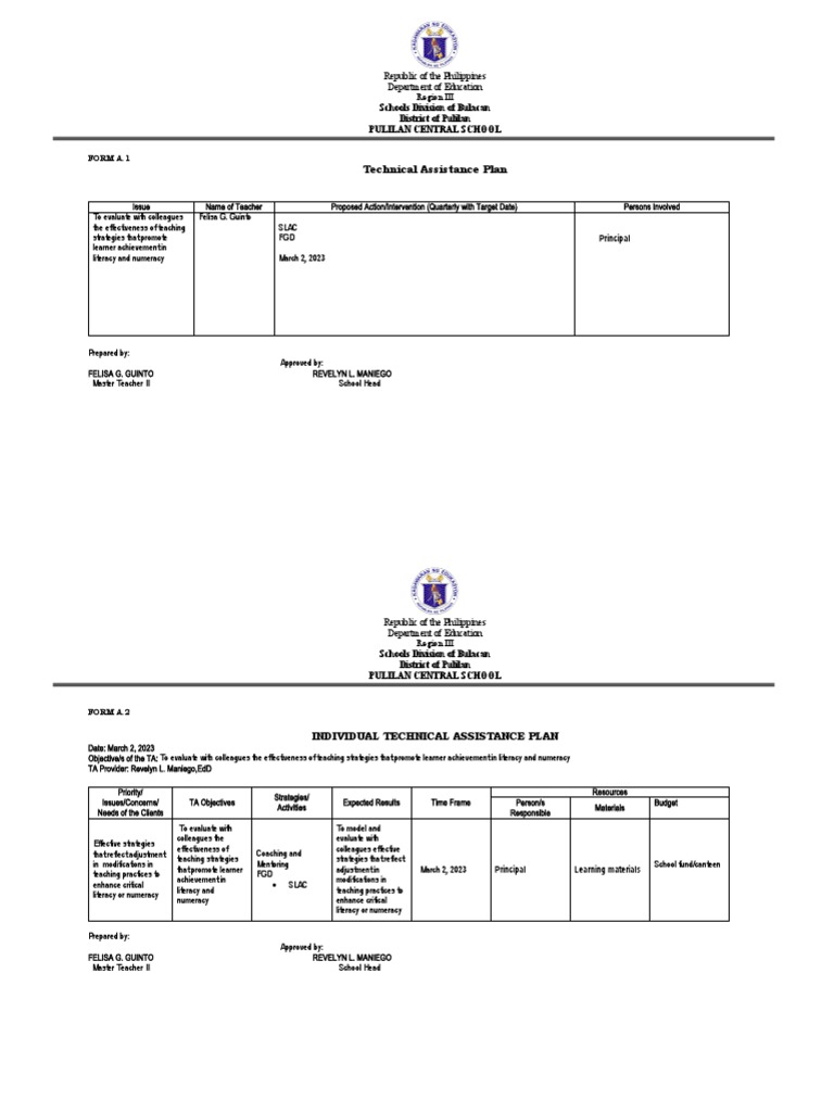 Ta Forms Felisa G. Guinto | PDF | Mentorship | Teachers