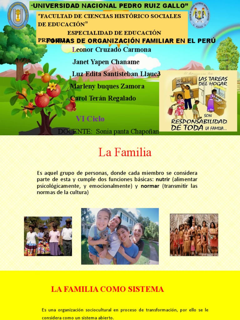 Forma de Organizacion de Familias en El Peru | PDF | Familia | Mujer