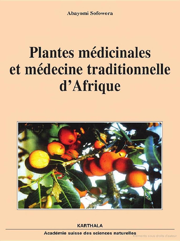 Plantes Médicinales Et Médecine Traditionnelle DAfrique by Abayomi ...