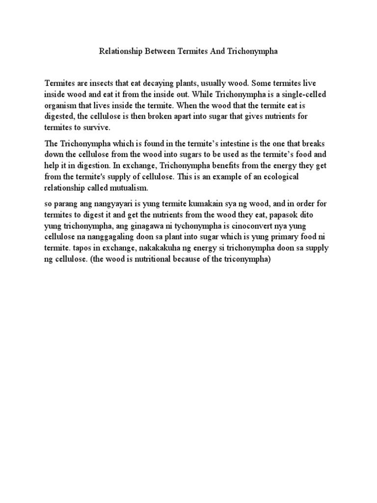 Relationship Between Termites and Trichonympha | PDF | Home & Garden ...