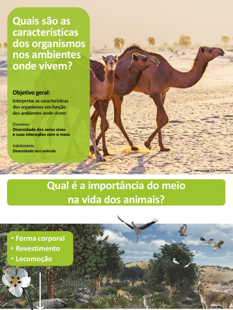 tv5 Em2 Objetivo Geral 7 | PDF | Pele | Organismos