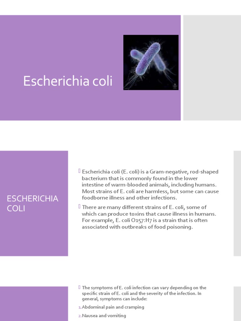 Escherichia Coli | PDF