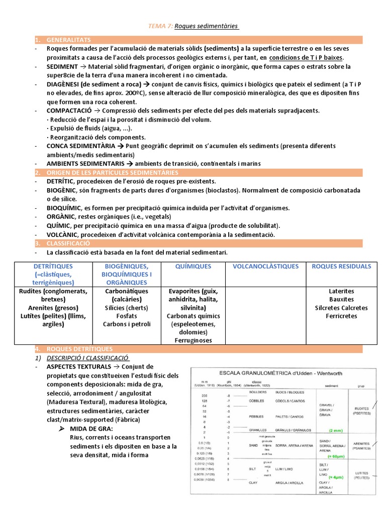 TEMA 7 Roques Sedimentàries | PDF