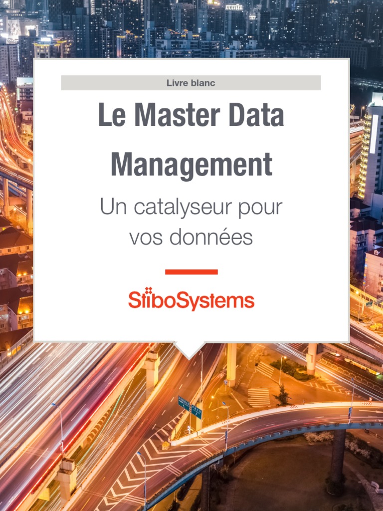 What Is Master Data Management And Why You Need It Fr Pdf Commerce