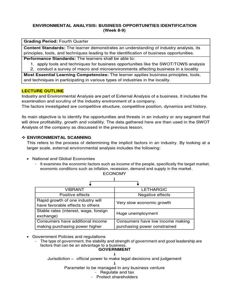 w8 9 Environmental Analysis Business Opportunities Identification | PDF | Swot Analysis | Goods