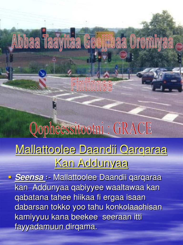 Traffic Signs AO | PDF