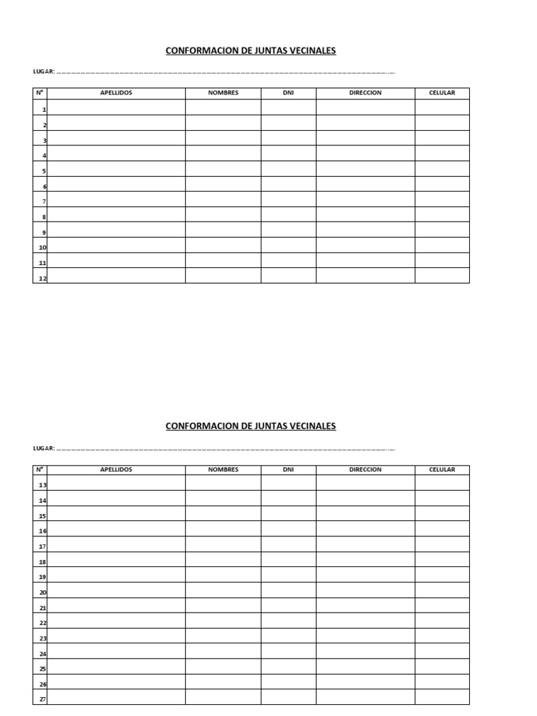 Formato Junta Vecinal | PDF