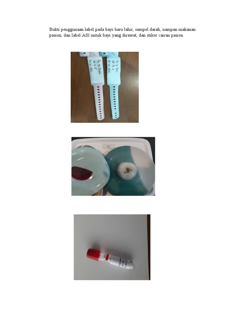 Bukti Penggunaan Label Pada Bayi Baru Lahir, Sampel Darah, Nampan ...