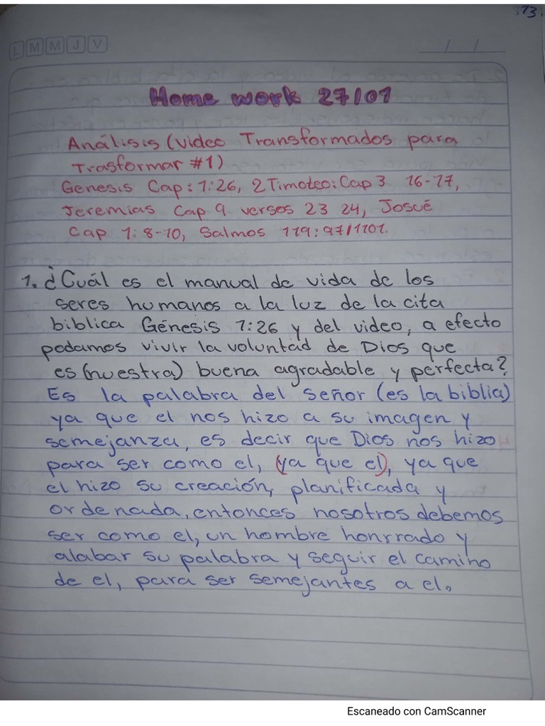 Transformando Vidas | PDF