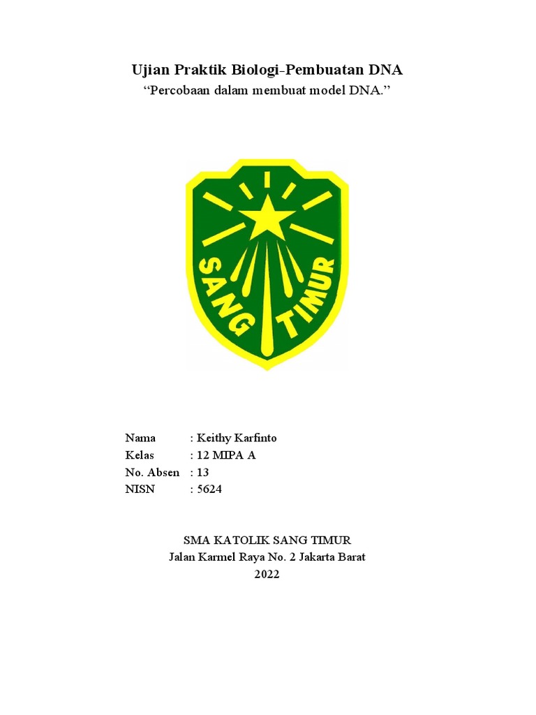 Pembuatan Model DNA Biologi | PDF | Seni | Sains & Matematika