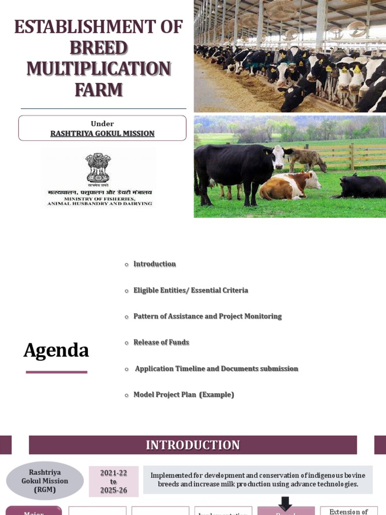 RGM - Breed Multiplication Farms - Guidelines | PDF | Dairy Cattle | Cattle