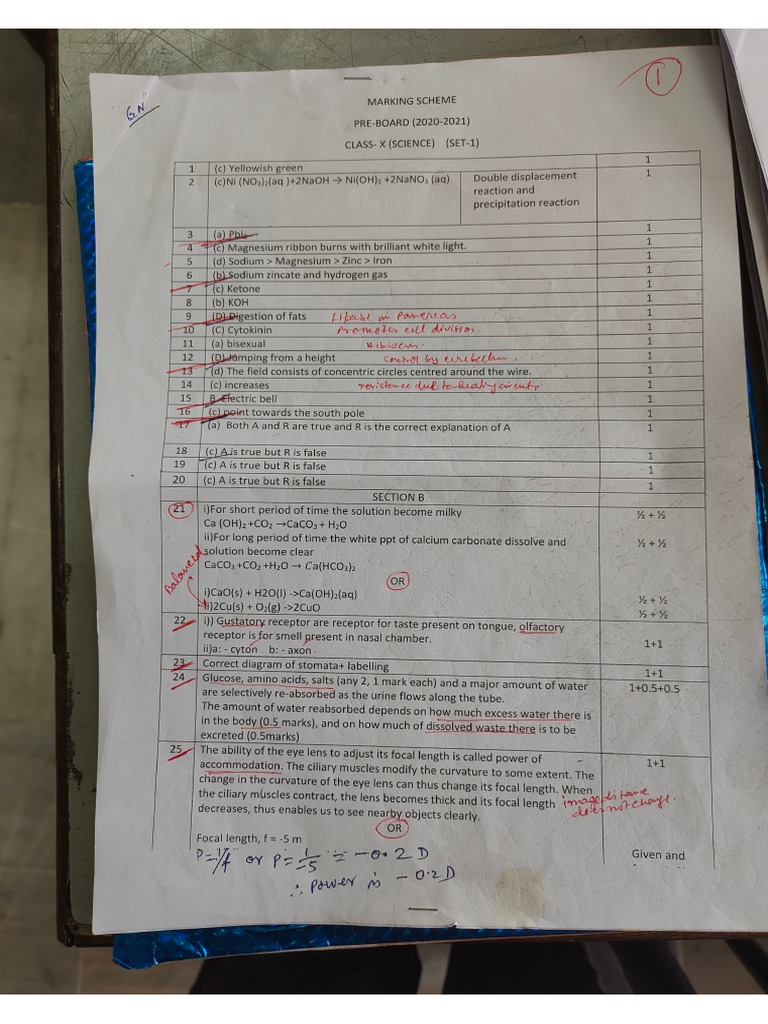 Marking Scheme | PDF