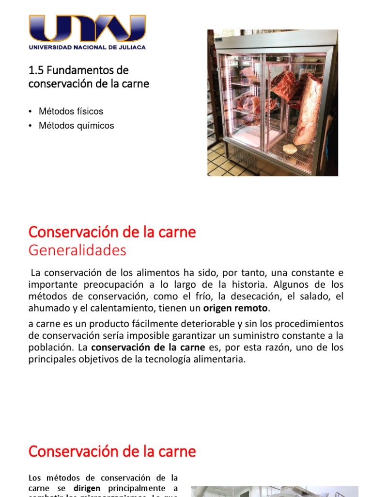 Sesión 1.4 Fundamentos de Conservación de Carne | PDF | Temperatura | Carne