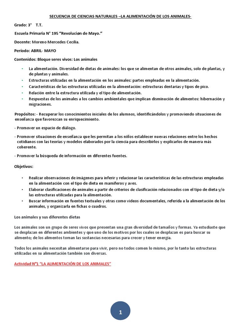 La Alimentación de Los Animales 3° Secuencia ABRIL | PDF | Aves | Diente