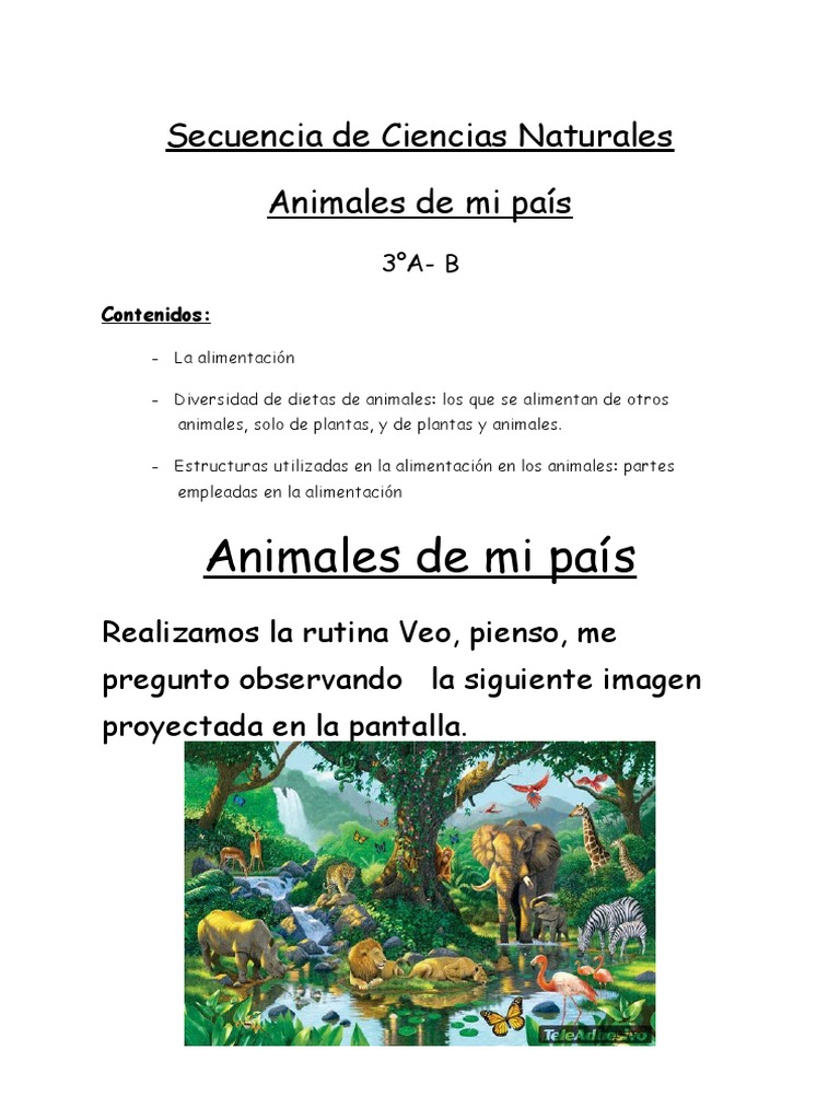 Secuencia Didáctica: Alimentación Animal | PDF | Extinción | Organismos