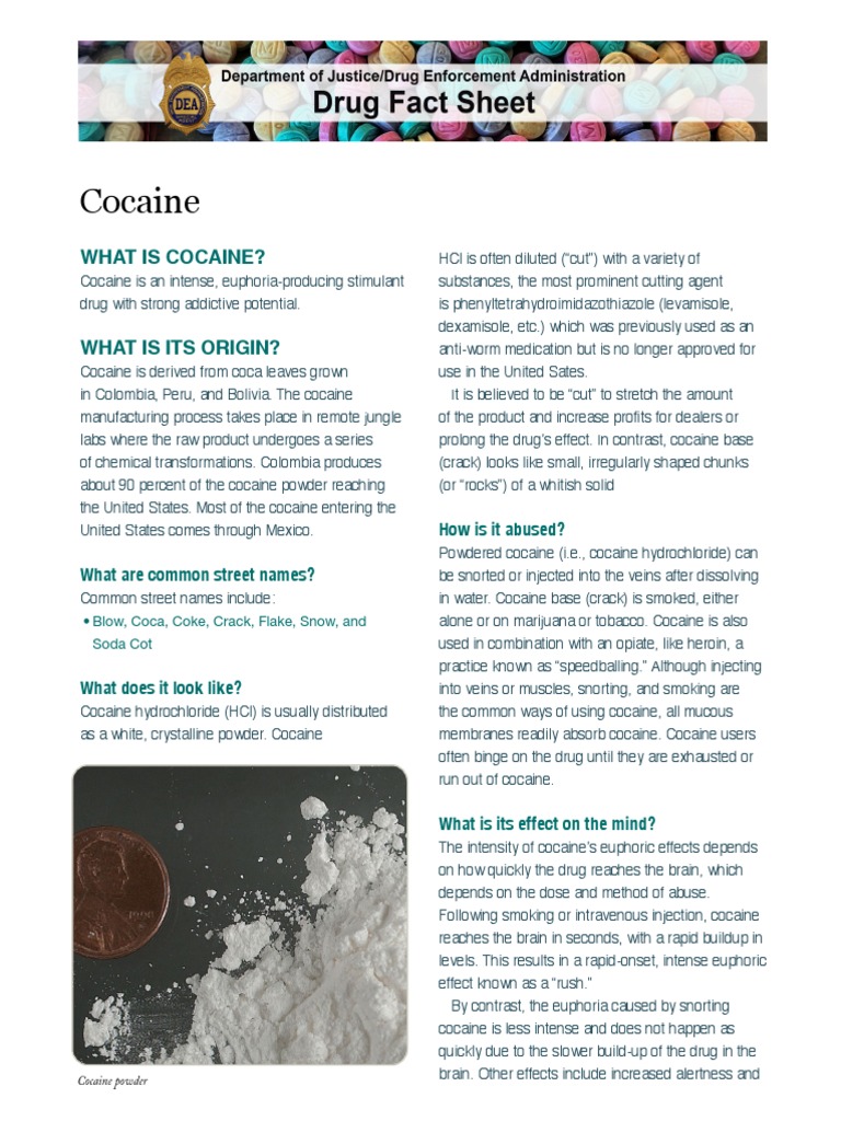 Cocaine 2022 Drug Fact Sheet | PDF | Cocaine | Crack Cocaine