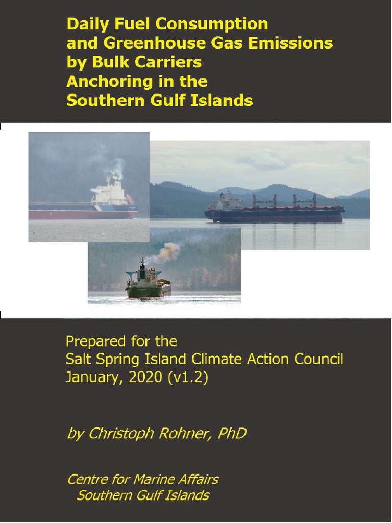 Daily Fuel Consumption Emissions Bulk Carriers | PDF | Fuel Oil | Cargo ...