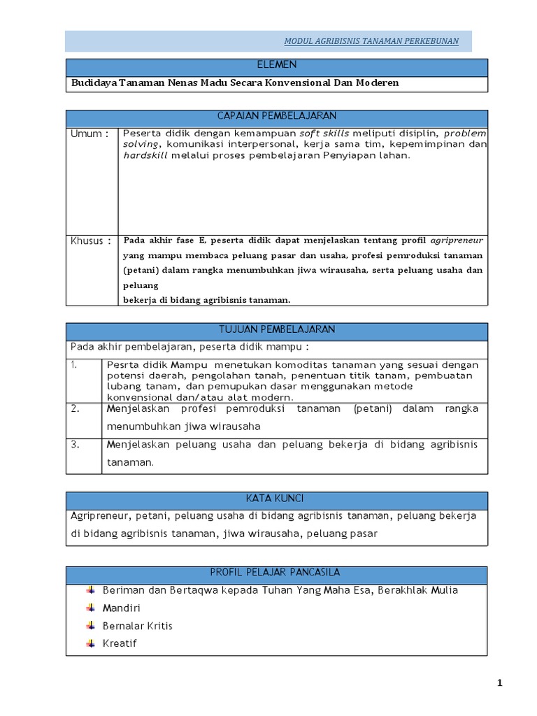 Atp Xi Modul Ajar | PDF
