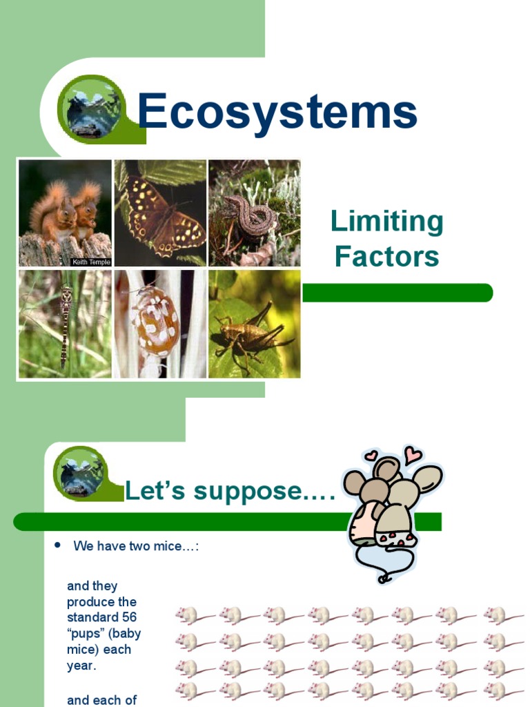 Understanding Limiting Factors in Ecosystems | PDF | Predation | Ecosystem