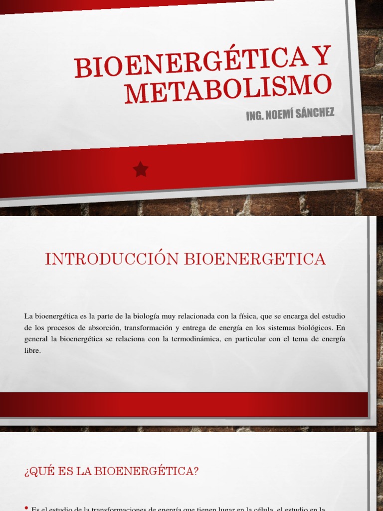 Bioenergetica y Metabolismo | PDF | Metabolismo | Bioenergética