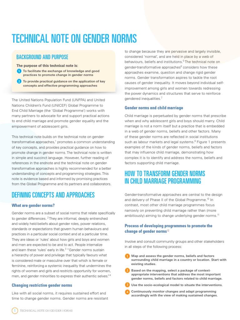 GP 2020 Technical Note Gender Norms | PDF | Gender | Gender Studies