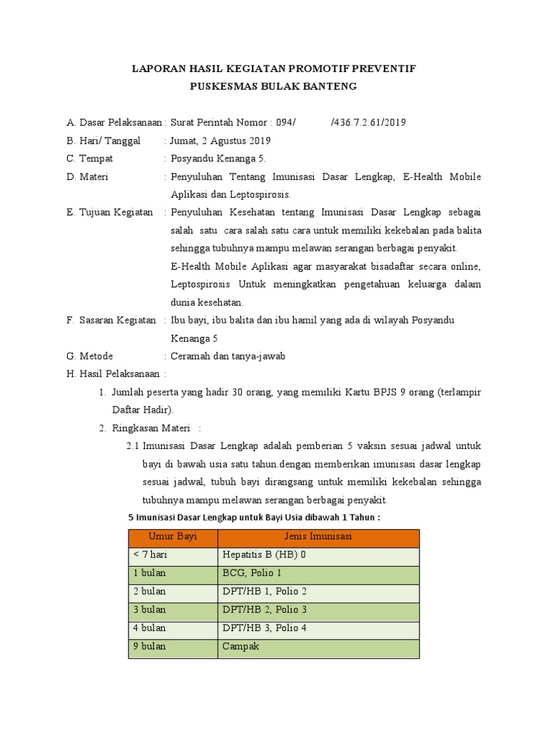 Laporan Hasil Kegiatan Promotif Preventif | PDF