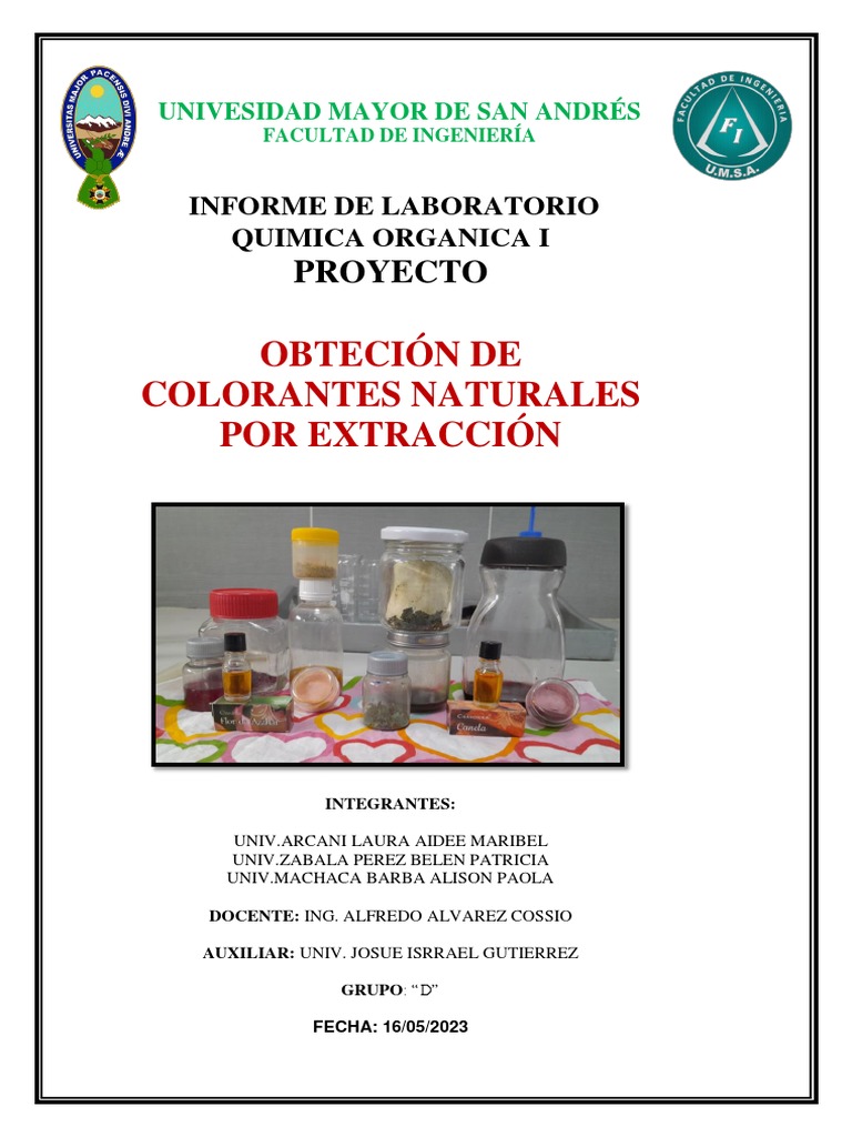 proyecto colorantes naturales | PDF | Química | Sustancias químicas
