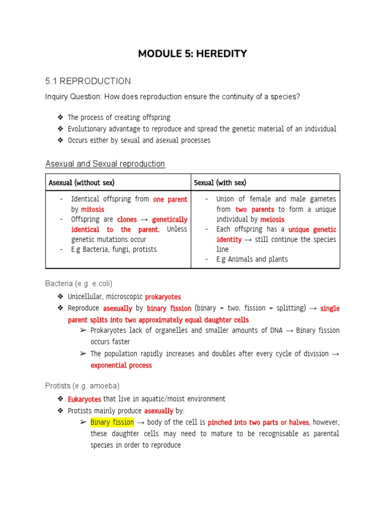 Module 5 - Heredity | PDF | Dominance (Genetics) | Messenger Rna