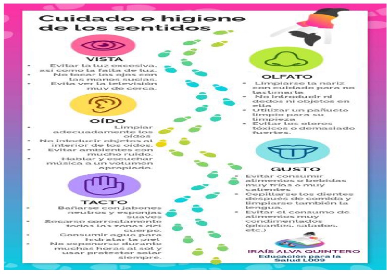 Cuidado de Los Sentidos | PDF