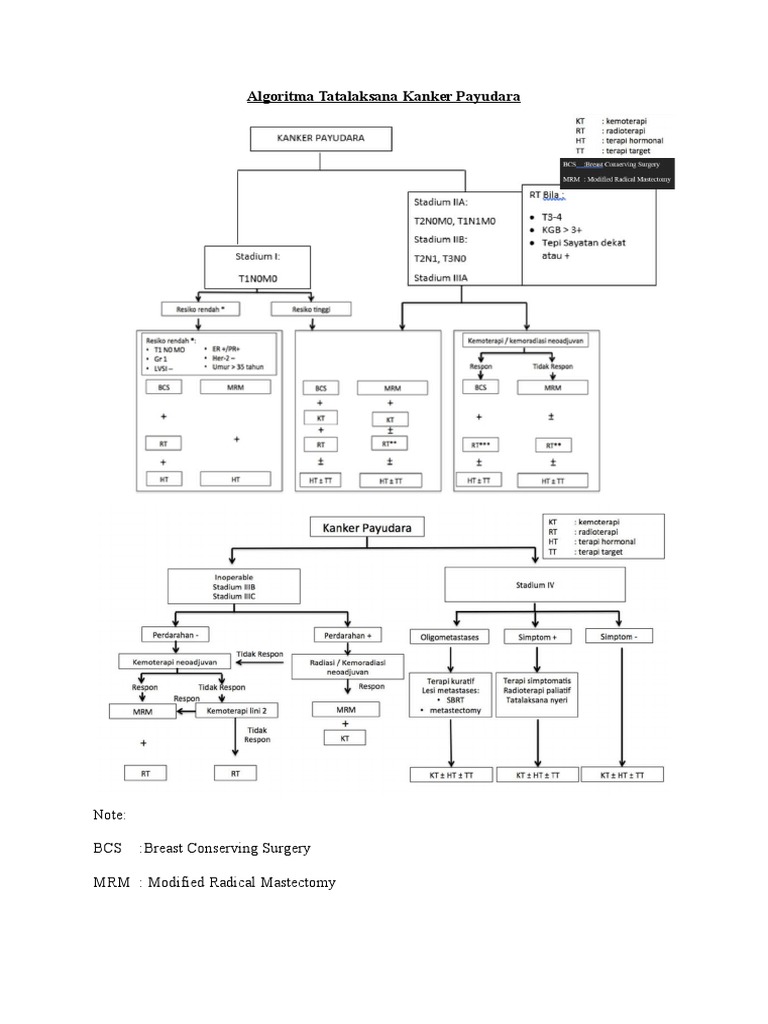 Algoritma Tatalaksana Kanker Payudara | PDF