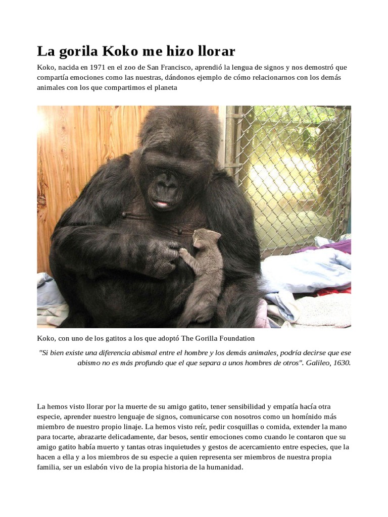 Sobre Gran Simio (la gorila Koko y muchos más primates) | PDF | Gorila ...