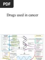 RPS Prescribing Competency Framework 2021 | PDF | Caregiver | Medical ...