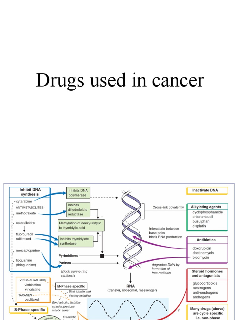 Cancer Treatment: Chemotherapy Overview | PDF | Chemotherapy | Cancer