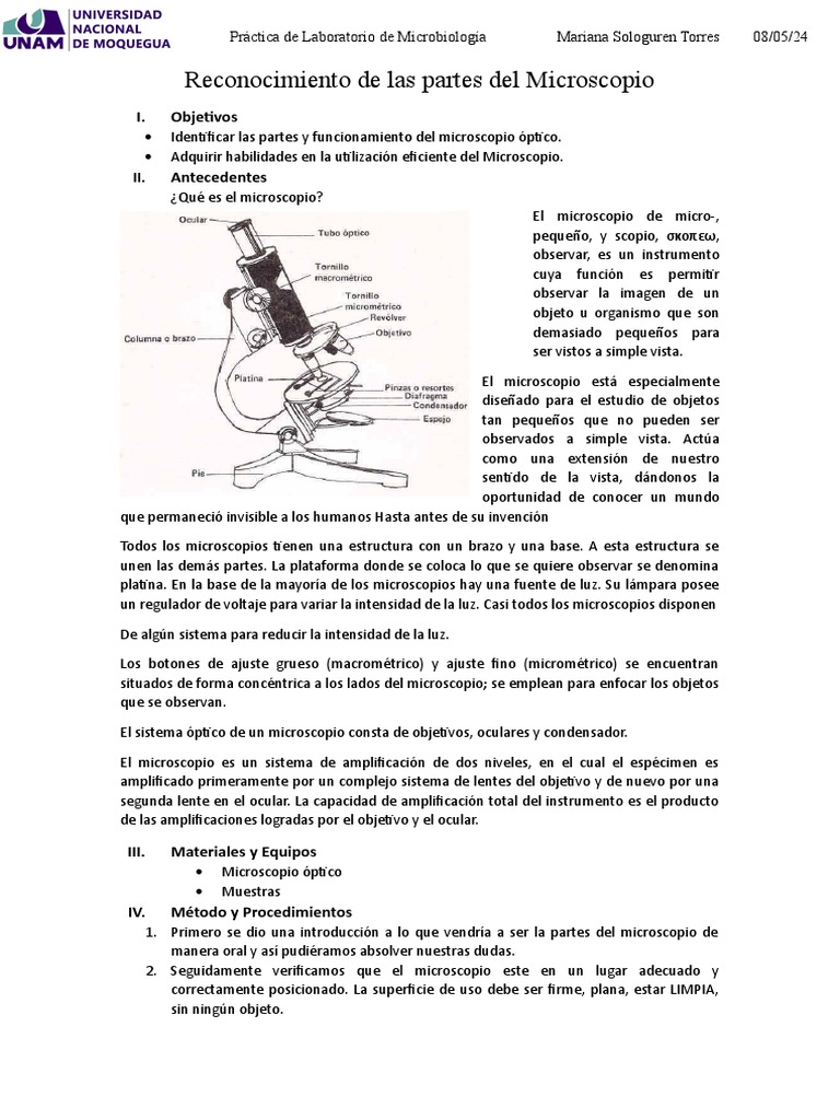Reconocimiento de Las Partes Del Microscopio | PDF | Microscopio | Óptica