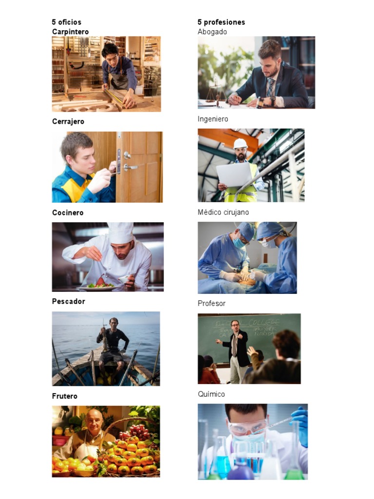 5 Profesiones | PDF