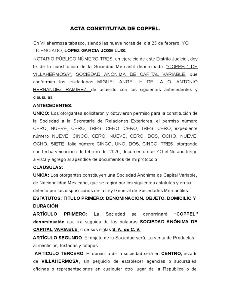 Acta Constitutiva | PDF | Sociedad de responsabilidad limitada | Compartir (Finanzas)