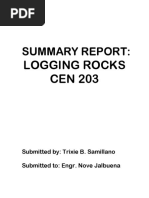 Core Logging Procedure | PDF | Clastic Rock | Sedimentary Rock