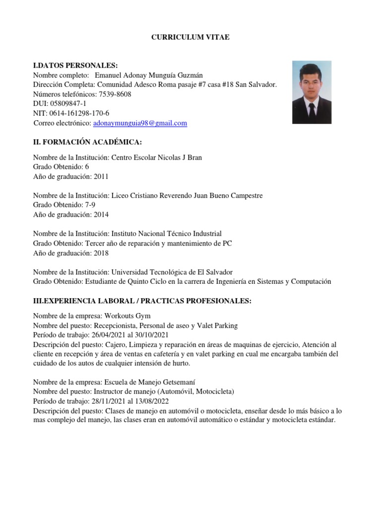 Curriculum | PDF | Tecnología de información y comunicaciones | Informática