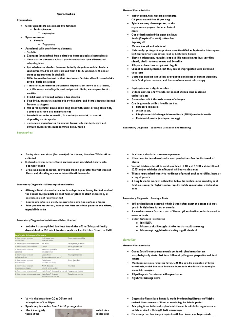 Spirochetes | PDF | Lyme Disease | Serology