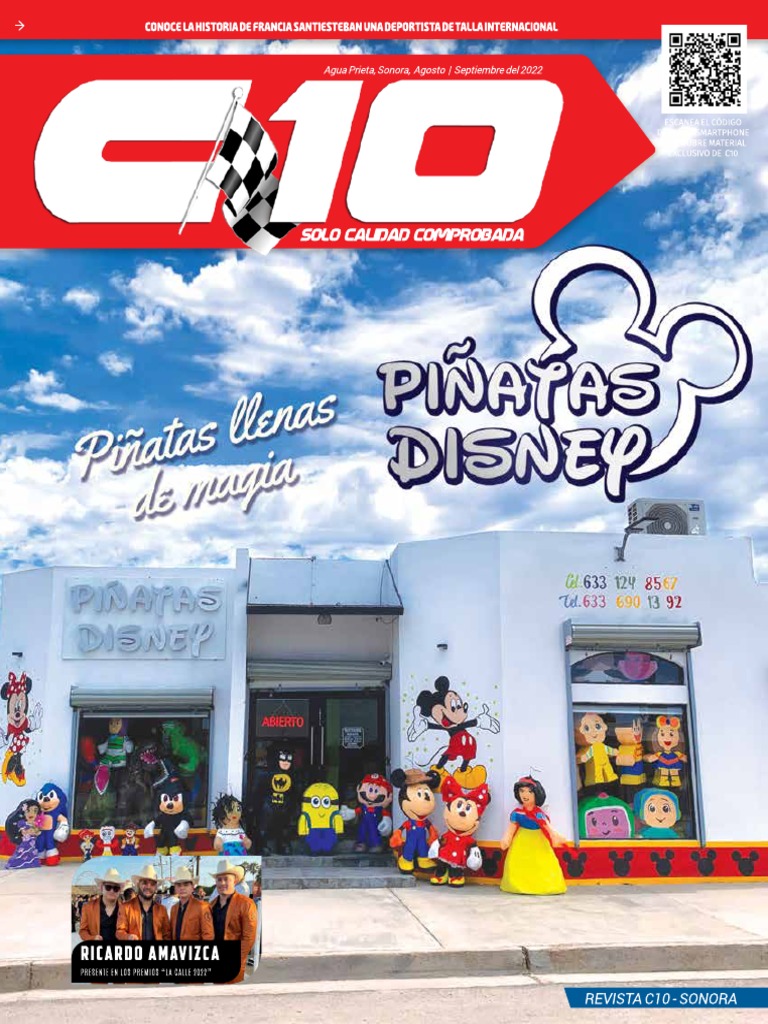 C10 Revista | PDF