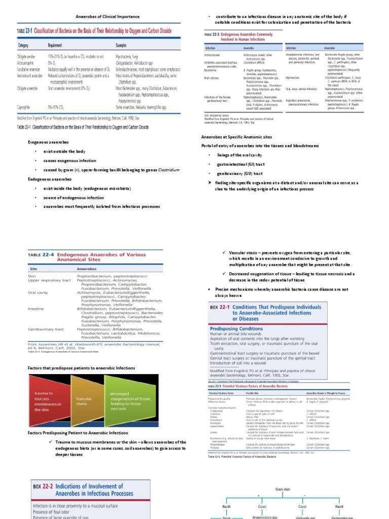 Anaerobes of Clinical Importance | PDF | Infection | Botulinum Toxin