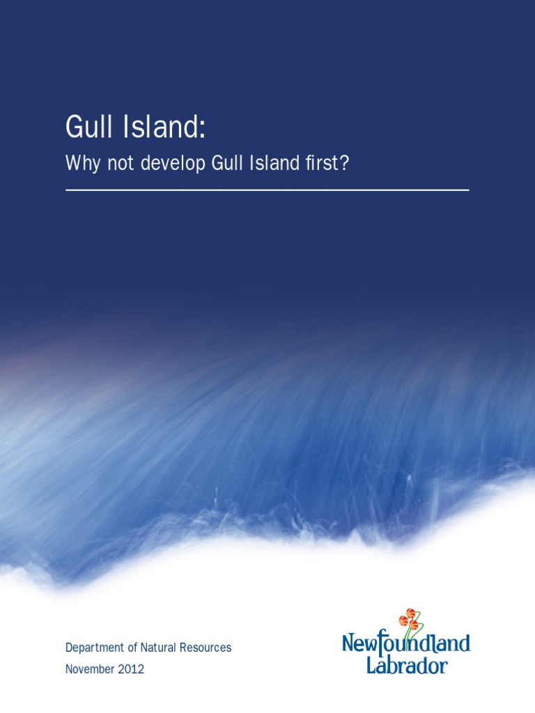 Report Why Not Develop Gull Island First | PDF | Electric Power ...