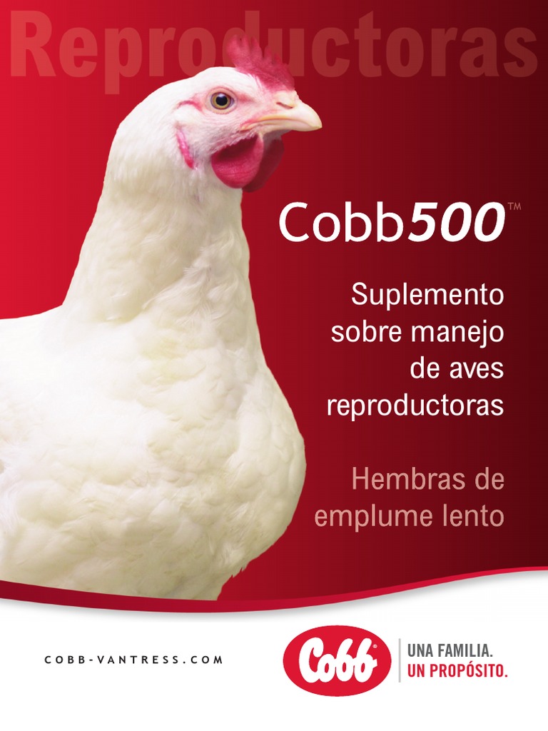 Reprod Cobb 500 2018 | PDF | Organismos | Zoología